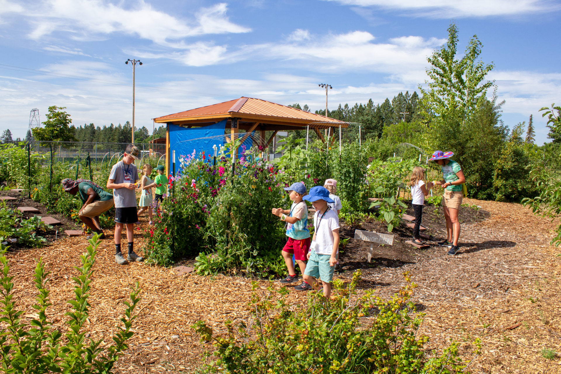 Summer Camp Classes Land To Hand